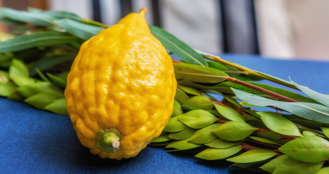 Focus sur les marchés de 4 espèces à Souccot - Visiter Israel